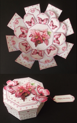 Pink orchids with 3D butterflies exploding box card - CUP907734_20842 ...