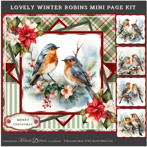 Lovely Winter Robins Mini Page Kit - CUP1228305_58488 | Craftsuprint