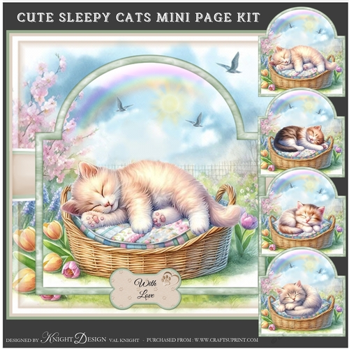Cute Sleepy Cats Mini Page Kit - CUP1273596_58488 | Craftsuprint