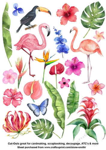 Tropical Watercolor Cut Outs - CUP1175766_466 | Craftsuprint