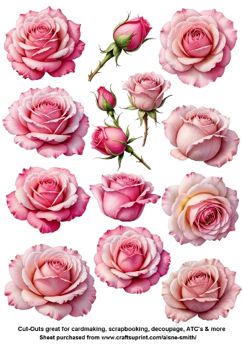 Pink Roses Cut-Out Sheet - CUP1365746_466 | Craftsuprint