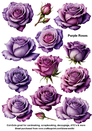 Purple Roses Cut-Out Sheets - CUP1369171_466 | Craftsuprint