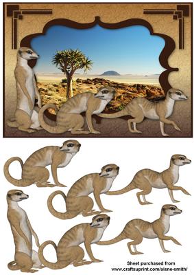 Africa - Meerkats - CUP338434_466 | Craftsuprint
