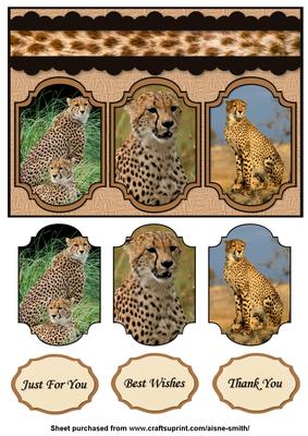Cheetah Card - CUP680188_466 | Craftsuprint