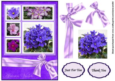 African Violets Collage Card - CUP681201_466 | Craftsuprint