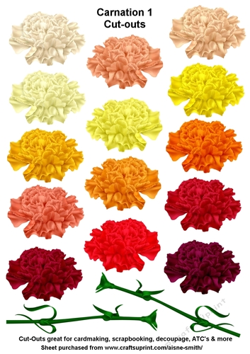 Carnations 1 Cut-Outs - CUP722773_466 | Craftsuprint