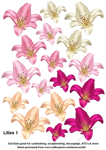 Lilies 1 Cut-Outs - CUP769887_466 | Craftsuprint