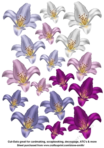 Lilies 2 Cut-Outs - CUP769892_466 | Craftsuprint