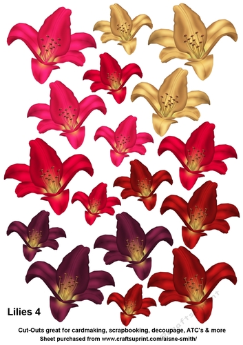 Lilies 4 Cut-Outs - CUP769894_466 | Craftsuprint