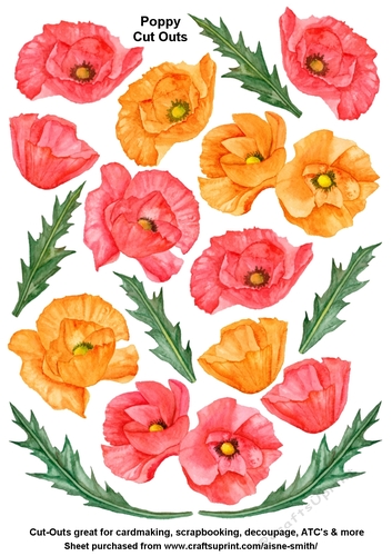 Poppy Watercolor Cut Outs - CUP876673_466 | Craftsuprint