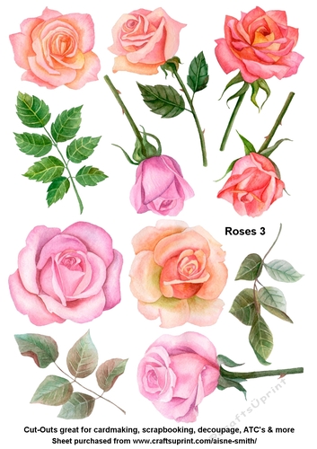 Roses 3 Cut-Outs - CUP916826_466 | Craftsuprint