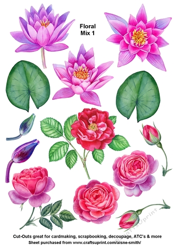 Floral Mix 1 Cut-Outs - CUP916827_466 | Craftsuprint
