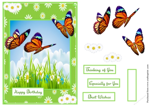 Butterflies and daisies birthday greeting card - CUP1035264_84699 ...