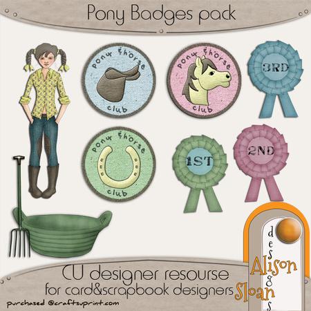 Cu Pony Club Badges & Doodles - CUP491056_416 | Craftsuprint