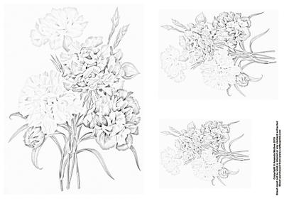 Carnation Digital Stamp - CUP56345_56 | Craftsuprint