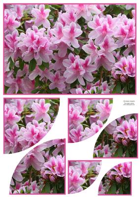 Pink and White Azalea 2 Corner Stacker - CUP164981_5 | Craftsuprint