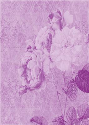 Tattered Rose A4 Backing Paper - Bright Shade - CUP466886_5 | Craftsuprint