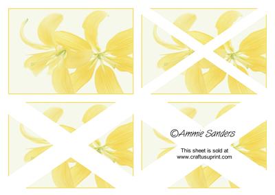 Beautiful Yellow Flowers Triangle Side Step Stacker - CUP52423_5 ...