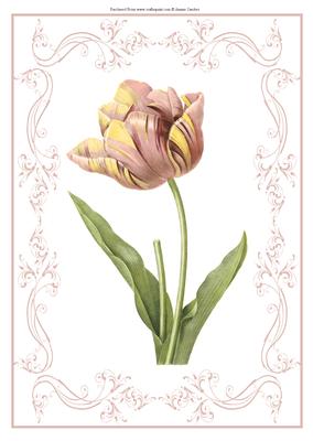 Beautiful Tulip A4 Topper/card - CUP86460_5 | Craftsuprint