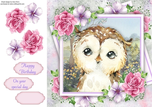 Beautiful Owl With Pink Roses 8x8 - CUP1024180_983 | Craftsuprint