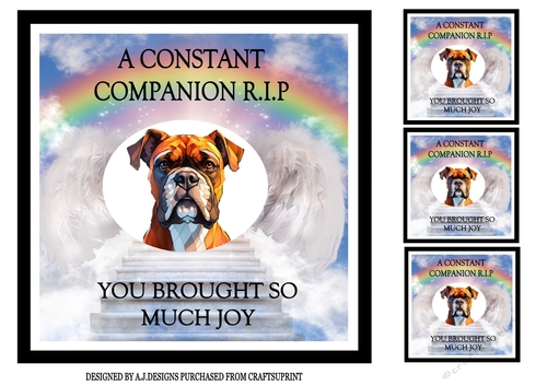 A CONSTANT COMPANION R.I.P 2 - CUP1256776_123820 | Craftsuprint