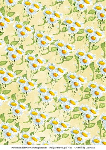 A4 Paper Daisies on Pale Yellow Background - CUP1038314_89143 ...