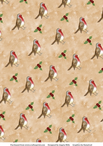 A4 Christmas Paper Robins and Holly on Starry Fawn Background ...