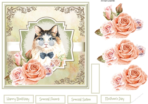 Winston the cat 7x7 - CUP1089436_8 | Craftsuprint