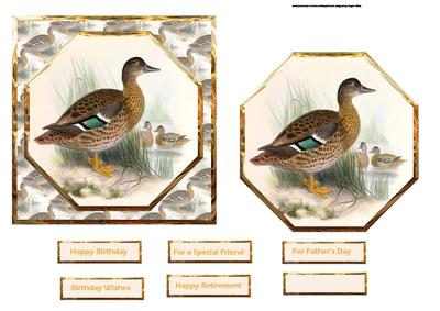 The Duck Family Card Front with a Topper - CUP484680_8 | Craftsuprint