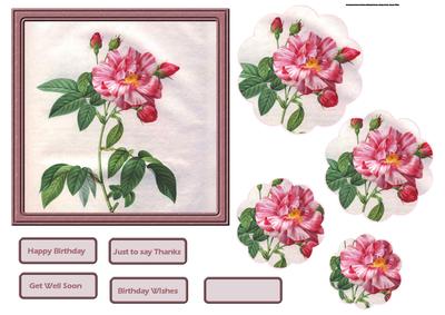 Rose Petal Card with Petal Stackers - CUP513264_8 | Craftsuprint