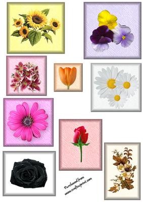 Floral Toppers - CUP112648_544 | Craftsuprint
