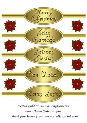 Belted Gold Christmas Captions Set - CUP378215_96 | Craftsuprint