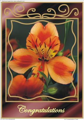 A4 "congratulations" Floral - CUP50563_96 | Craftsuprint