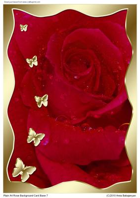 Plain A4 Rose Background Card Base 7 - CUP78210_96 | Craftsuprint