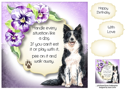 Handle Every Situation Like A Dog - Border Collie 8x8 - CUP1034438_1763 ...