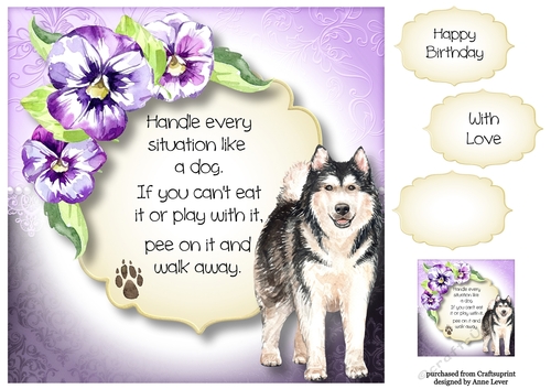 Handle Every Situation Like A Dog - Alaskan Malamute 8x8 - CUP1034676 ...