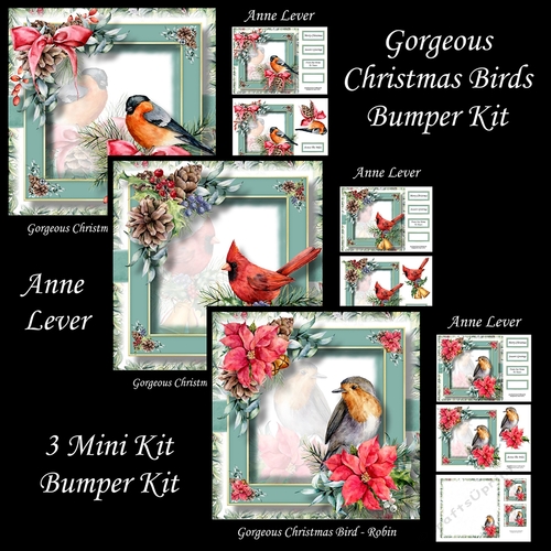 Gorgeous Christmas Birds Bumper Kit - CUP1171886_1763 | Craftsuprint