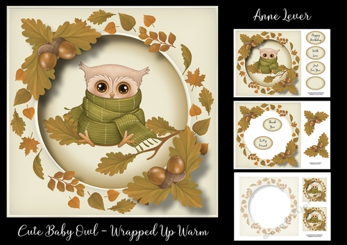 Cute Baby Owl - Wrapped Up Warm - CUP1173151_1763 | Craftsuprint