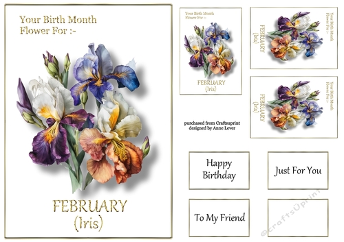 Birth Month Flower - February Iris - CUP1218148_1763 | Craftsuprint
