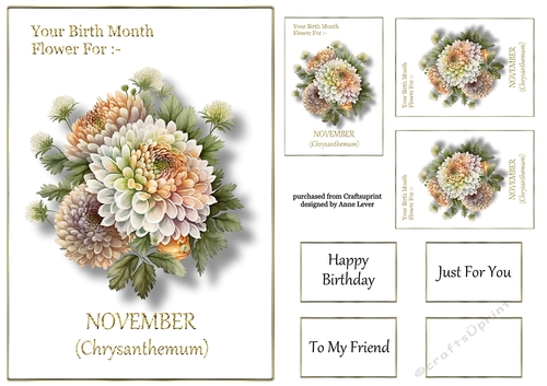 Birth Month Flower - November Chrysanthemum - CUP1218164_1763 ...