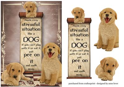 Handle Every Stressfull Situation Like a Dog - - CUP523027_1763 ...