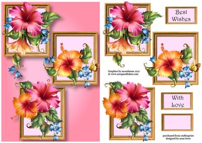 Pink & Peach Hibiscus Frame Trio - CUP616624_1763 | Craftsuprint