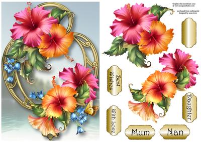 Beautiful Hibiscus Blooms on Golden Frame - CUP616783_1763 | Craftsuprint