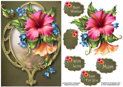 Gorgeous Pink Hibiscus on Golden Frame - CUP616784_1763 | Craftsuprint