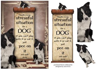 Handle Every Stressful Situation Like a Dog - border Collie - CUP646383 ...
