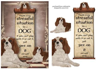 Handle Every Stressful Situation Like a Dog - spaniel - CUP646384_1763 ...