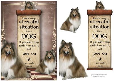 Handle Every Stressful Situation Like a Dog - collie - CUP646584_1763 ...
