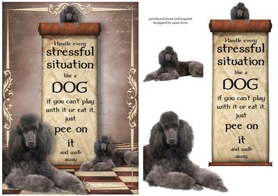 Handle Every Stressful Situation Like a Dog - poodle - CUP646586_1763 ...