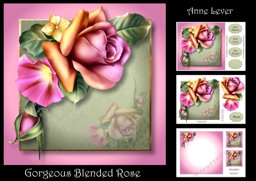 Gorgeous Blended Rose - CUP714620_1763 | Craftsuprint