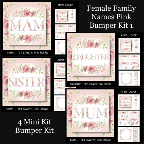 Female Family Names Pink Bumper Kit 1 - CUP883210_1763 | Craftsuprint